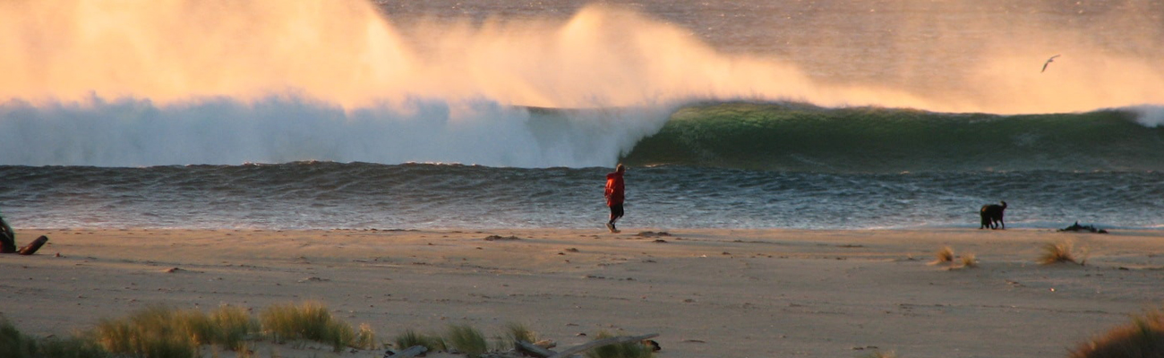 Activities – Scamander Tourist Park